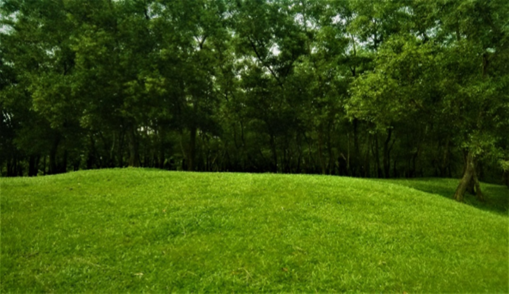 The Unique Beauty of Nature is Susang Durgapur, Netrokona