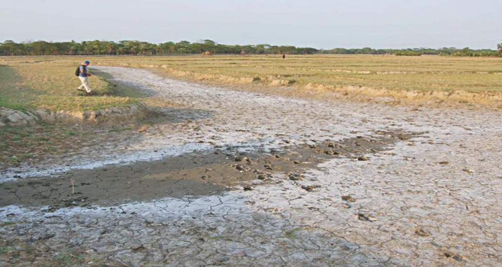 Salinity Problems in Coastal Bangladesh
