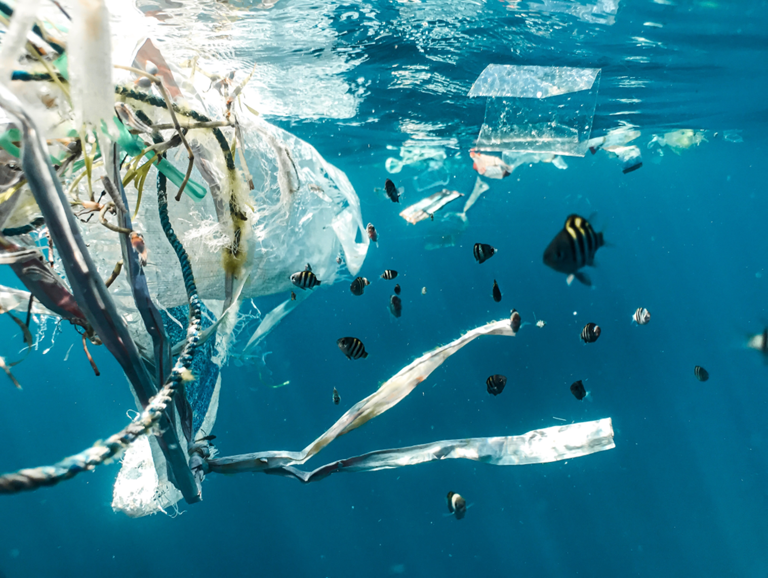 A Global Crisis of Climate Justice, Addressing Plastic Pollution and ...
